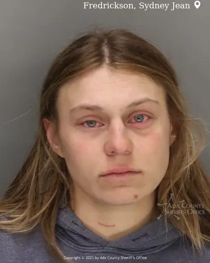 Sydney Fredrickson booked for Driving Under the Influence - Excessive ...