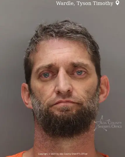 Tyson Wardle booked for Failure to Appear (No New Offense) - MD | MFTA