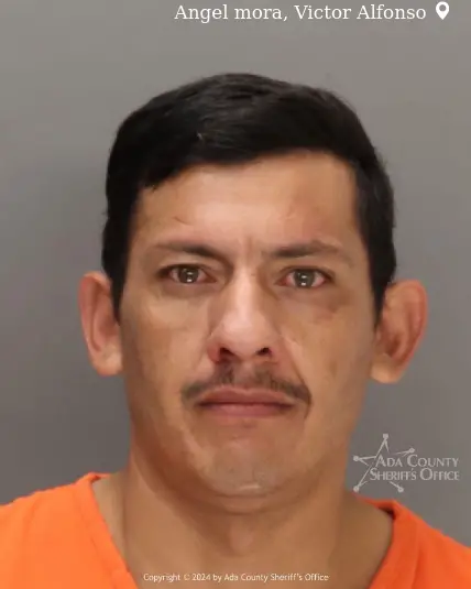 Victor Angel-mora booked for Probation Violation - MD | MPV