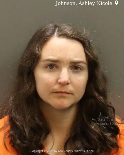 Ashley Johnson booked for Battery-Domestic Violence Without Traumatic ...