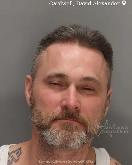 David Cardwell booked for Driving Under the Influence | I18-8004(1)(a)M