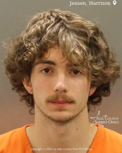 Harrison Jensen booked for Battery-Domestic Violence Without Traumatic ...