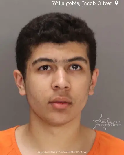 Jacob Wills-gobis booked for Battery-Aggravated | I18-907