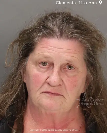 Lisa Clements booked for Driving Under the Influence | I18-8004(1)(a)M