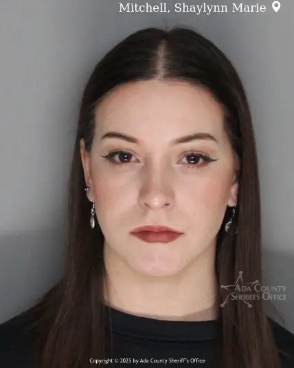 Shaylynn Mitchell booked for Failure to Appear (No New Offense) - MD | MFTA