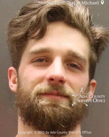 Taylor Shepardson booked for Controlled Substance-Possession of ...