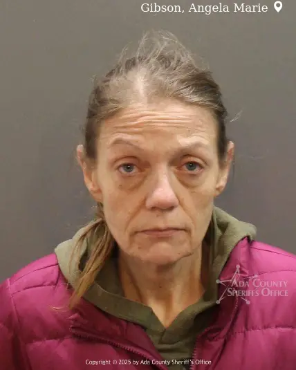 Angela Gibson booked for Failure to Appear (No New Offense) - FE | FFTA