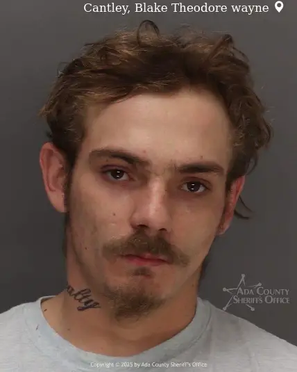 Blake Cantley booked for Failure to Appear (No New Offense) - MD | MFTA