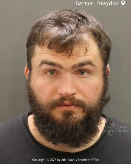 Braydon Barnes booked for Disturbing the Peace | I18-6409