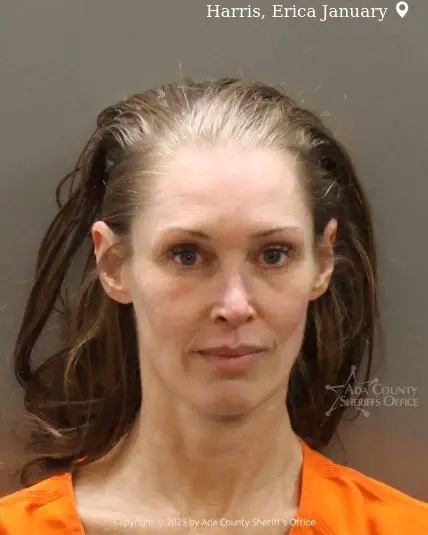 Erica Harris booked for Controlled Substance-Possession of | I37-2732(c ...