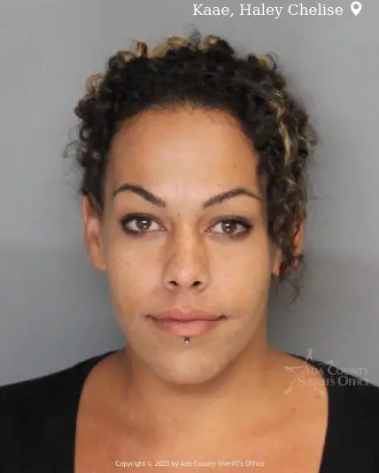 Haley Kaae booked for Failure to Appear (No New Offense) - MD | MFTA