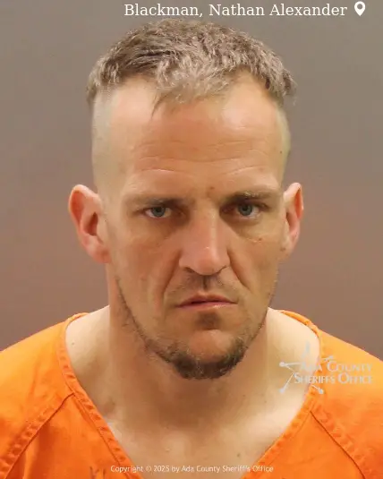 Nathan Blackman booked for Vehicle Title-Alter Title, Engine Number or ...