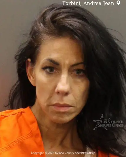 Andrea Forbini booked for Controlled Substance-Manufacture or Deliver ...