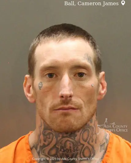 Cameron Ball booked for Burglary | I18-1401