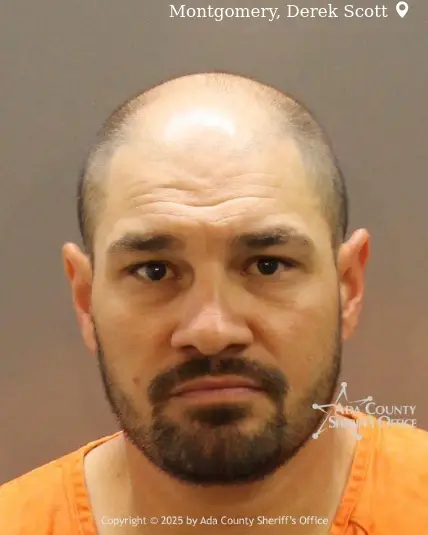 Derek Montgomery booked for Officer-Flee or Attempt to Elude a Police ...