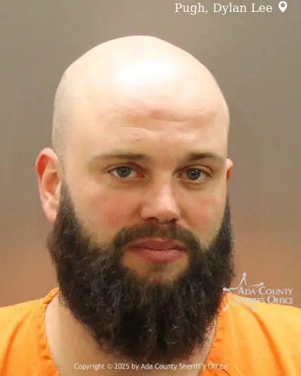 Dylan Pugh booked for Battery-Domestic Violence Inflicting Traumatic ...