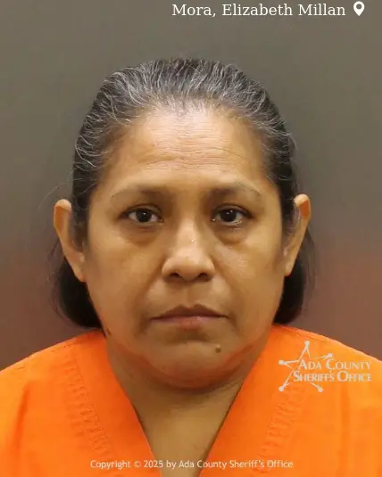 Elizabeth Mora booked for Children-Injury To Child | I18-1501(1)F