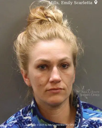 Emily Mills booked for Theft-Petit Theft | I18-2403(1)M