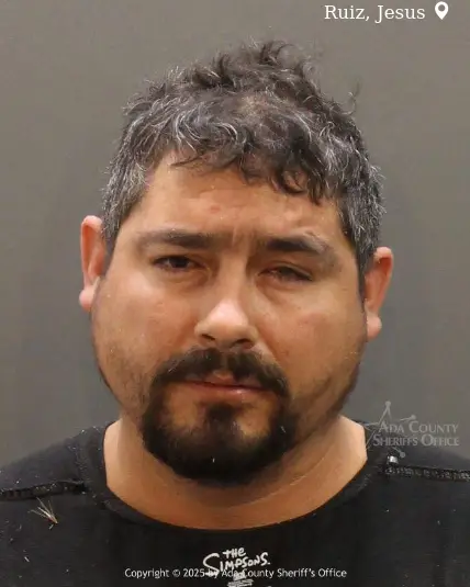 Jesus Ruiz booked for Theft-Petit Theft | I18-2403(1)M