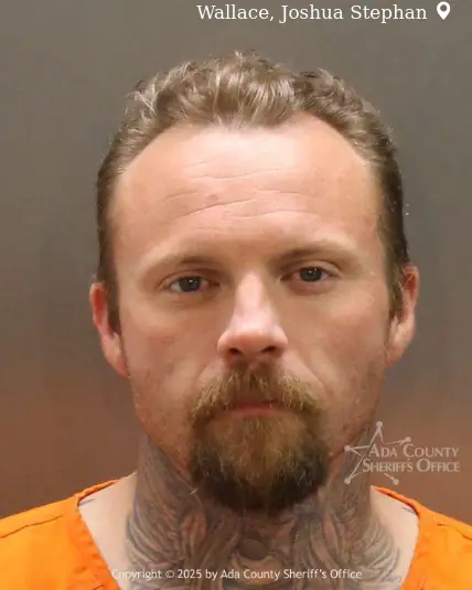 Joshua Wallace booked for Officer-Flee or Attempt to Elude a Police ...