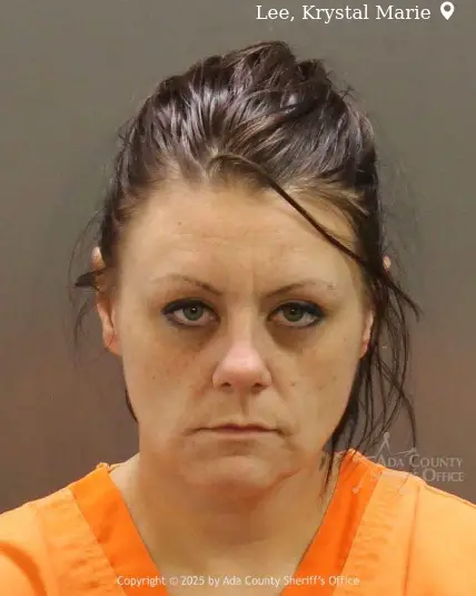 Krystal Lee booked for Public Records-Offering False or Forged Instrument for Record | I18-3203