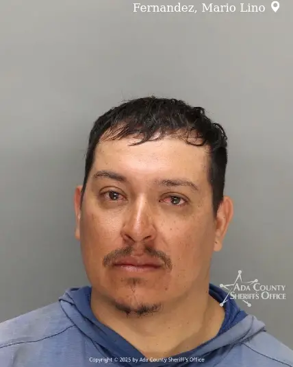 Mario Fernandez booked for Driving Under the Influence (Excessive ...