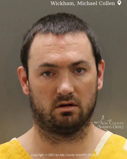 Michael Wickham booked for Battery Against Health Care Workers | I18-915C