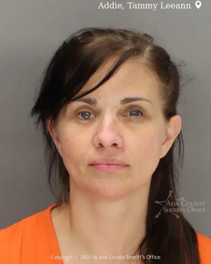 Tammy Addie booked for Burglary | I18-1401