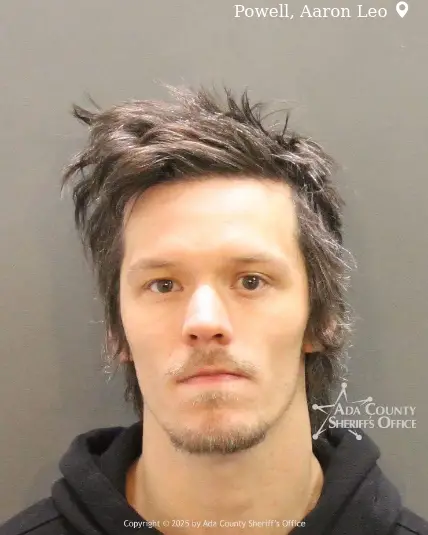 Aaron Powell booked for Controlled Substance-Possession of | I37-2732(c ...