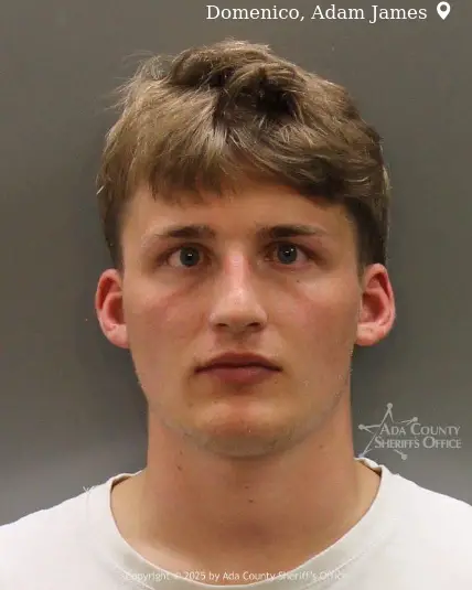 Adam Domenico booked for Driving Under the Influence | I18-8004(1)(a)M