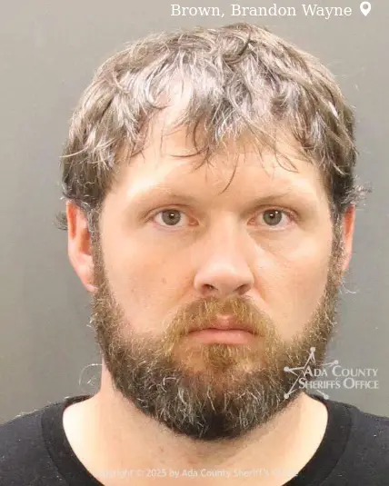 Brandon Brown booked for Inmates of Public Institutions-Enticing ...