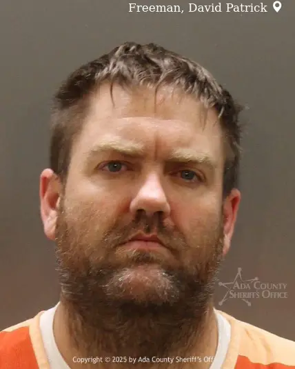 David Freeman booked for Child Sexually Exploitative Material Willfully ...