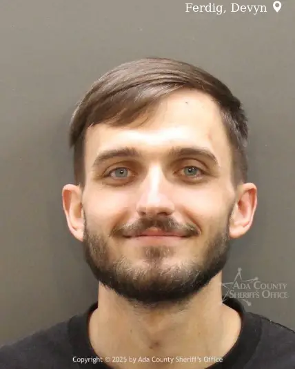 Devyn Ferdig booked for Driving Without Privileges | I18-8001(1)(a)