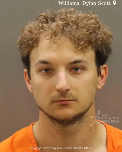 Dylan Williams booked for Children-Lewd Conduct with Child Under 16 | I18-1508