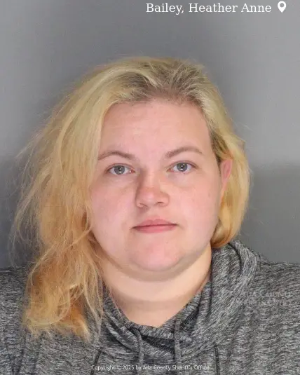 Heather Bailey booked for Theft-Grand | I18-2403(1)F