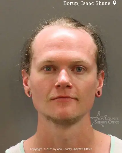 Isaac Borup booked for Driving Without Privileges | I18-8001(1)(a)