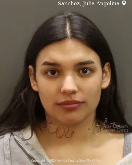Julia Sanchez booked for Officer-Flee or Attempt to Elude a Police Officer in a Motor Vehicle ...