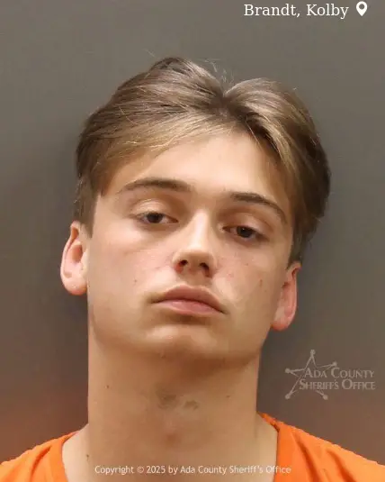 Kolby Brandt booked for Probation Violation - MD | MPV