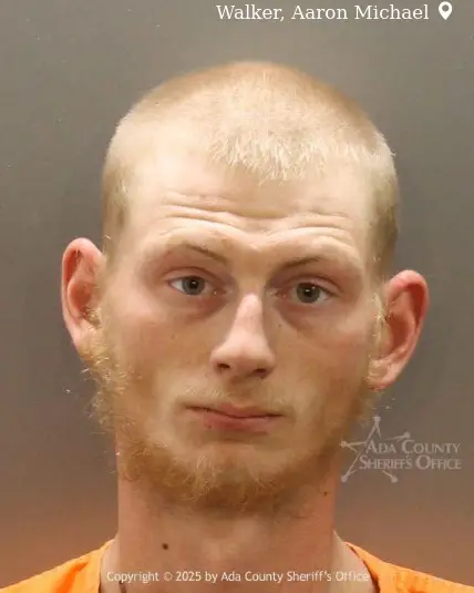Aaron Walker booked for Probation Violation - FE | FPV