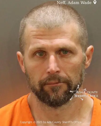 Adam Neff booked for Failure to Appear (No New Offense) - MD | MFTA