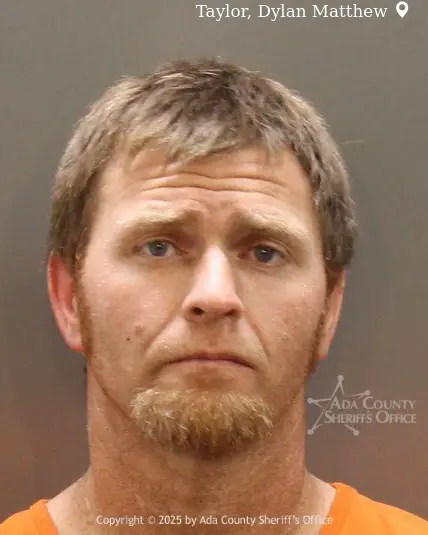 Dylan Taylor booked for Possession of a Controlled Substance with the ...