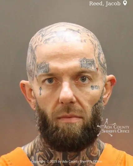 Jacob Reed booked for Theft-Grand | I18-2403(1)F