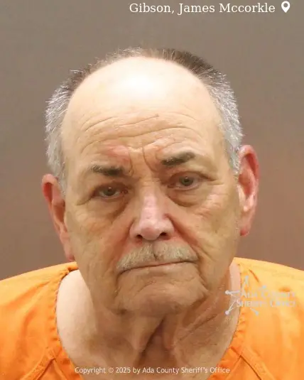 James Gibson booked for Assault-Aggravated | I18-905