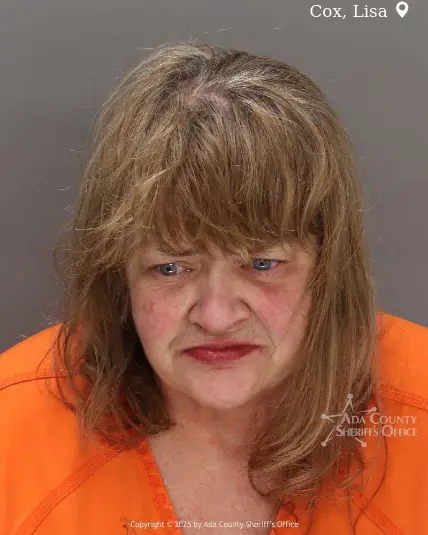 Lisa Cox booked for Pedestrian-Under the Influence of Alcohol or Drugs ...