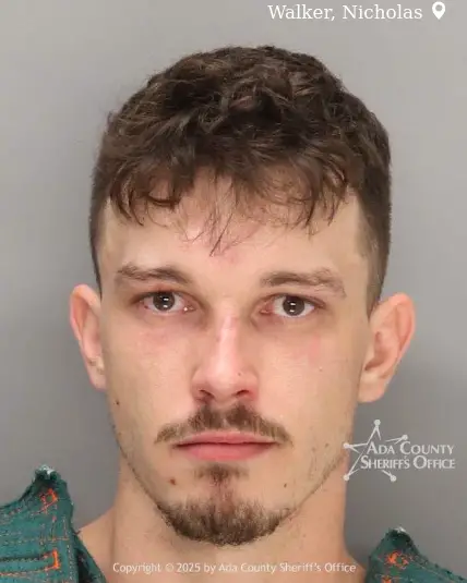 Nicholas Walker booked for Battery-Domestic Violence Inflicting ...