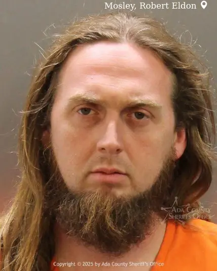Robert Mosley booked for Driving-Reckless | I49-1401(1)