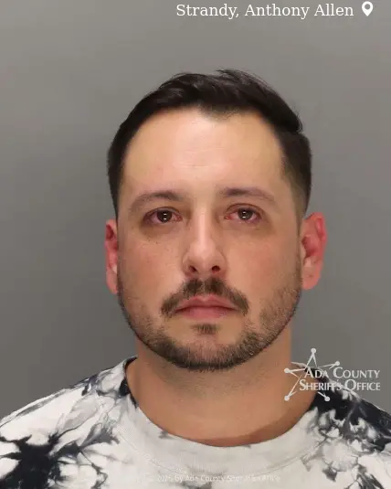 Anthony Strandy booked for Driving Under the Influence | I18-8004(1)(a)M