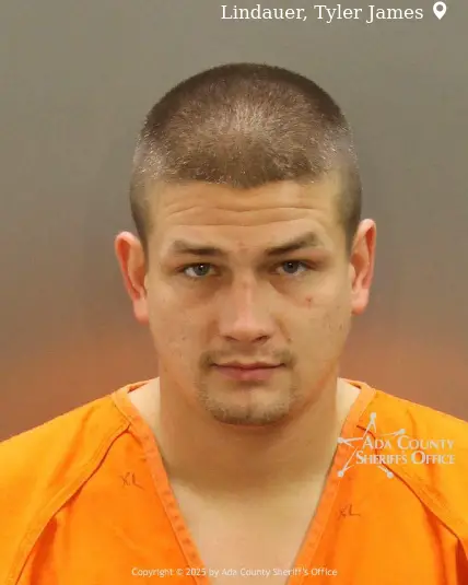 Tyler Lindauer booked for Controlled Substance-Possession of | I37-2732 ...