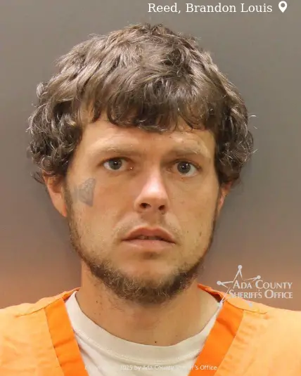 Brandon Reed booked for Controlled Substance-Possession of | I37-2732(c ...