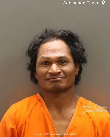David Aebischer booked for Assault-Aggravated | I18-905